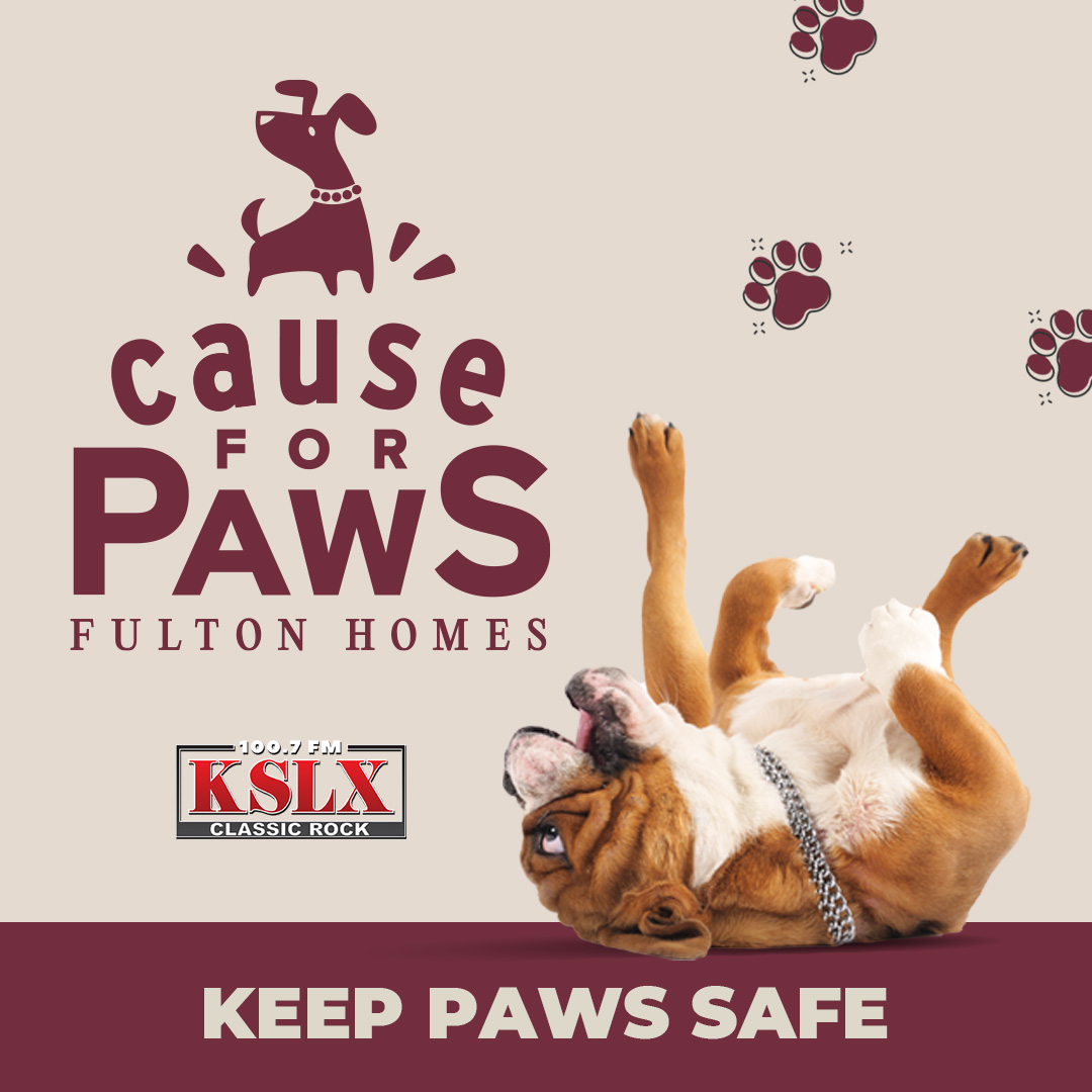 Cause For Paws - Desert Ridge Marketplace