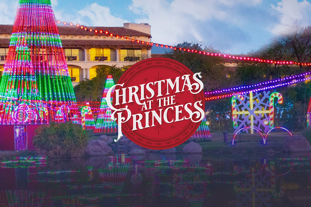CHRISTMAS AT THE PRINCESS ENTER TO WIN - Desert Ridge Marketplace